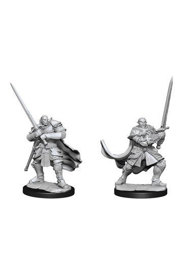 D&D Mini DND Miniature Male Fighter Soldier Paladin THG Sentinel ...