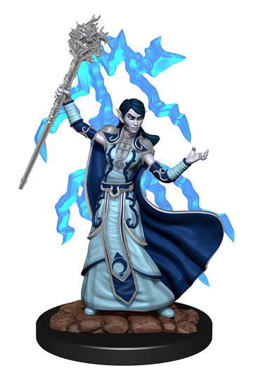 DnD Painted Miniatures RPG Miniatures Female Elf Blade Dancer Assassin ...