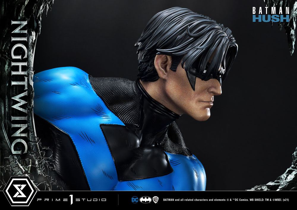 Nightwing Superhelt Logo Nightwing Has The Best Assets, Or Something